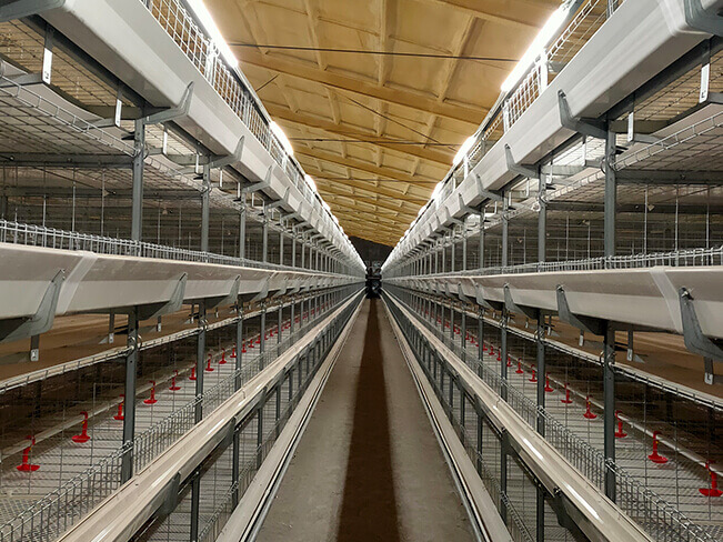 H-frame broiler battery cage system for sale, poultry broiler cage manufacture, modern chicken ...